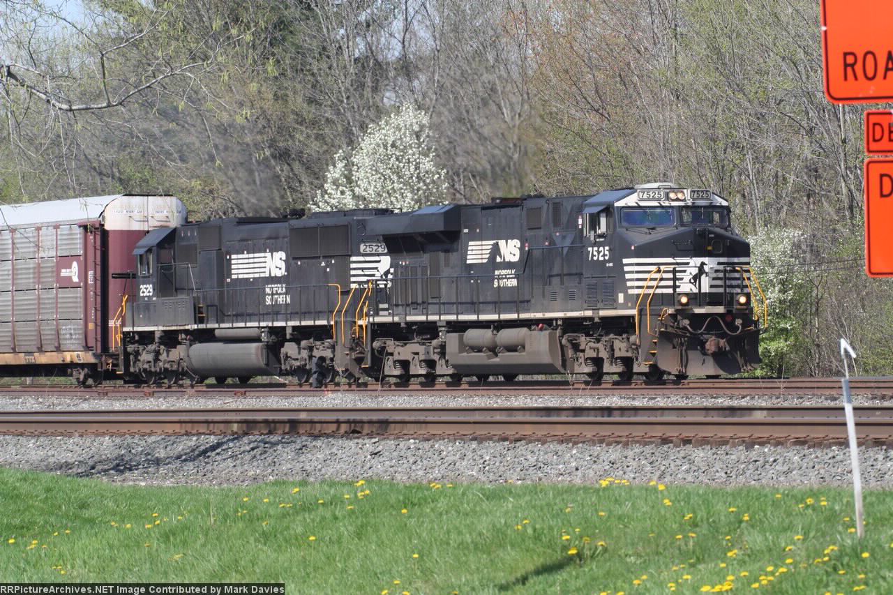 NS 7525